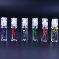 China Waterproof Lip Plumper Oil No Logo Customized Scent Plump Lip Gloss for sale