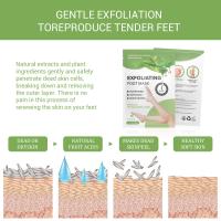 China Exfoliating And Moisturizing Aloe Vera Foot Mask For Rejuvenating for sale