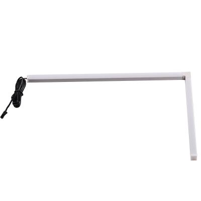 China Always On and Customizable Adaptable LED Light String with 240led Per Meter for sale