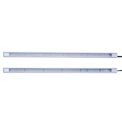China Versatile Malleable LED Tape Strip Water Proof IP20 Ideal for Different Lighting Applications and Environments for sale