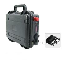 China 100AH 200AH Electric Boat Motor Battery 12V 24V Lithium Battery For Electric Boats for sale