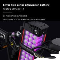 China 1000 Cycles Ebike Battery 10Ah Lithium Ion Ebike Battery Overdischarge for sale