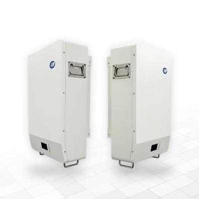 China Chargeable Home Energy Storage Battery Hybrid Grid 10kWh Powerwall for sale