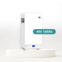 China 51.2V Deep Cycle Lithium Ion Batteries 10KWh 20KWh Powerwall 48v 200ah for sale