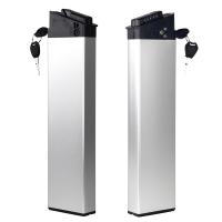 China 48 Volt 20ah Ebike Battery OEM 36V Silver Fish Battery Customized for sale