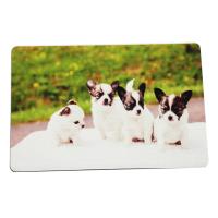 China BFM-001 Custom Designed Cartoon Dog Rubber Non Slip Bath Floor Mat for sale
