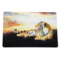 China PASSIONATE BFM-015 Non Slip Floor Mat Soft Absorbent Door Mat for sale