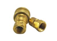China 1'' Pneumatic Brass Quick Coupler , Brass Quick Release Coupling for sale