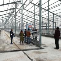 China Industrial Prefabricated Steel Shed Construction Prefabricated Steel Farm Shed Customized for sale
