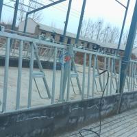 China Sturdy Steel Structure Cow Shed Contemporary Steel Dairy Barns for sale