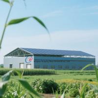 China Pre Engineered Steel Structure Warehouse with Modern / Contemporary Aesthetics for sale