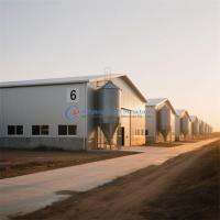 China Quickly Assemble Steel Structure Building Chicken House for sale