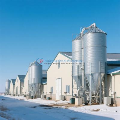 China Steel Metal Frame Prefabricated Steel Structure Chicken Farm Poultry House for sale