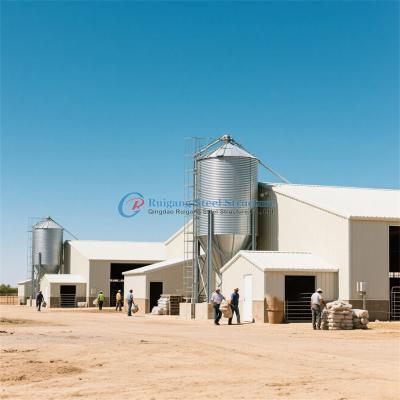 China Prefab Steel Structure Poultry House Customized Steel Frame Chicken Coop for sale