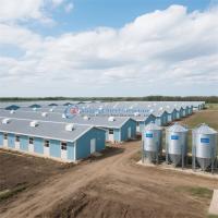 China Metal Steel Structure Frame Broiler Farm/Poultry House/Broiler House/Chicken House for sale