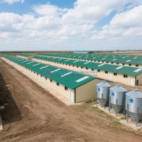 China Chicken Broiler Poultry Farm Steel Structure Shed House for 15000 Chickens for sale