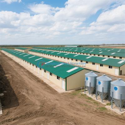 China Chicken Broiler Poultry Farm Steel Structure Shed House for 15000 Chickens for sale