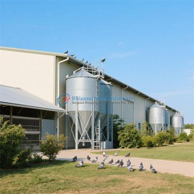 China Customized Steel Structure Poultry House Fire Resistant For Dairy Farm for sale