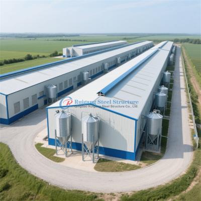 China Prefabricated Steel Structure Galvanized Poultry House /Chicken Farm Building for sale