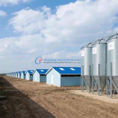 China Prefabricated Steel Structure Engineer Building Poultry Farm Chicken House for sale