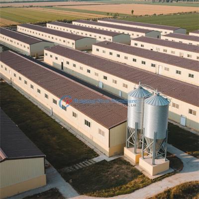 China Steel Structure Poultry Farm House for Layer Chicken House for sale
