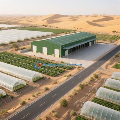 China Customized Workshop Made of GB/CE/European Standard Steel Structure Warehouse for sale