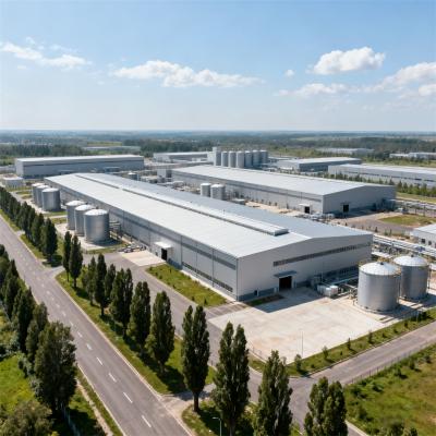 China Metal Steel Warehouse Building Single Span Steel Structure Frame for sale
