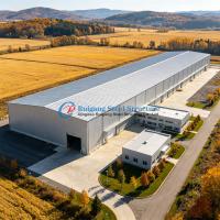 China Customizable Large Volume Steel Structure Warehouse with 50+ Years Lifespan and Clear-Span Design for Cost-Effective Industrial Storage for sale
