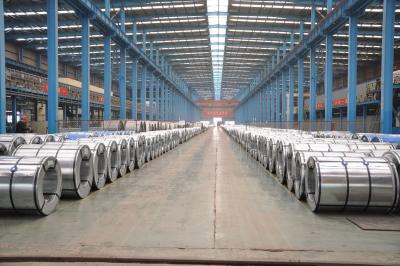 China 1200mm width Hot dipped Galvanized Steel Coil for sale