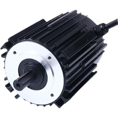 China Industrial Air Cooling Alternating Current Brushless Motor with Cast Iron Casing for sale