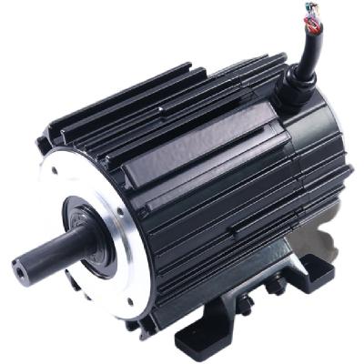 China Insulation Class F AC Brushless DC Motor Featuring Foot Mounting Type Designed for Precision Instruments and Laboratory for sale