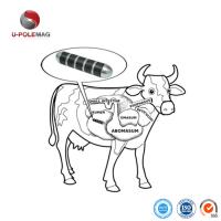 China Stainless Coated U-POLEMAG Ceramic Cow Magnet for Improved Cow Health and Performance for sale