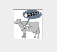China Stainless Coated U-POLEMAG Ceramic Cow Magnet for Improved Cow Health and Performance for sale