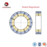 China Gold Coated Neodymium Radial Magnetized Big Ring Magnet for in Industrial Applications for sale