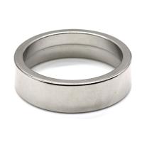 China Nickel-plated Neodymium Ring Magnet N52 for Versatile and Long-lasting Applications for sale