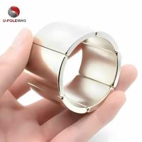 China Professional Customized Neodymium Arc Magnet for BLDC Motor Rotor Grade for sale