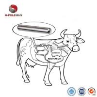 China Increase Cattle Production with 72.5g AlNiCo 5 Composite Cow Magnet Pill for sale