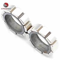 China Customized Axial Flux Neodymium Permanent Magnet Rotor for Generator for sale