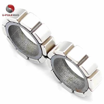 China Customized Axial Flux Neodymium Permanent Magnet Rotor for Generator for sale