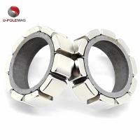China Customized Axial Flux Neodymium Permanent Magnet Rotor for Generator for sale