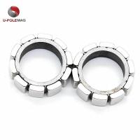 China Customized Axial Flux Neodymium Permanent Magnet Rotor for Generator for sale