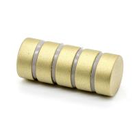 China 15 Days Sample Lead Time D12x5mm Everlube Coated Neodymium Magnets for Anti-corrosion for sale