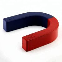 China 7.3g/cm3 Density Red Blue Painted Pole U Shaped Horseshoe Magnet for Teaching Materials for sale