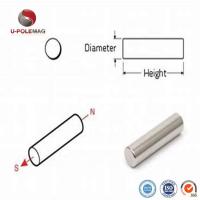 China 2024 Industrial Magnet Powerful 30mm Neodymium Cylinder Magnet for Nails Makeup Salon for sale