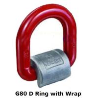 China Carbon Steel Forged D Ring Power Coated G80 Weld In D Rings With Wrap for sale