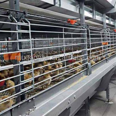 China H-Type Hot Dip Galvanized Broiler Chicken Cage with 19×15mm Mesh and Steel Wire Support System for sale