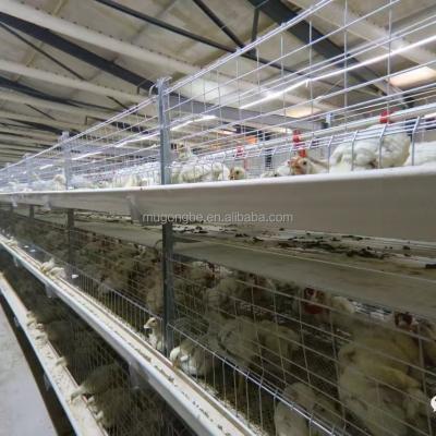 China Hot Dip Galvanized H-Type Automatic Battery Cage for Broiler Chickens with 19x15mm and 25.4x19mm Grid Sizes for sale