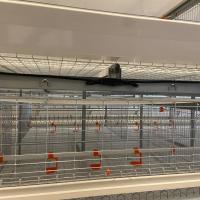 China Hot Dip Galvanized H-Type Automatic Battery Cage for Broiler Chickens with 19x15mm and 25.4x19mm Grid Sizes for sale