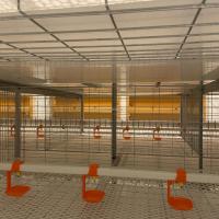 China Hot Dip Galvanized H-Type Automatic Battery Cage for Broiler Chickens with 19x15mm and 25.4x19mm Grid Sizes for sale