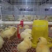 China H Type Broiler Chicken Cage with 19×15mm and 25.4×19mm Grid Options for Poultry Farming for sale